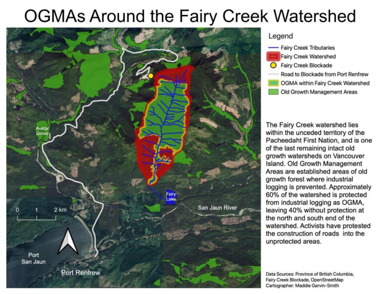 Fairy Creek - Old Growth Forest Ecology